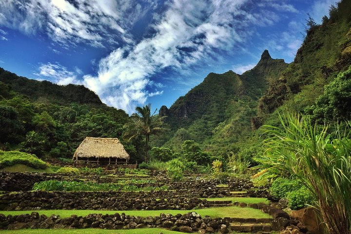 Explore Native Hawaiian Flora At Limahuli Garden! - Your #1 Kauai Resource